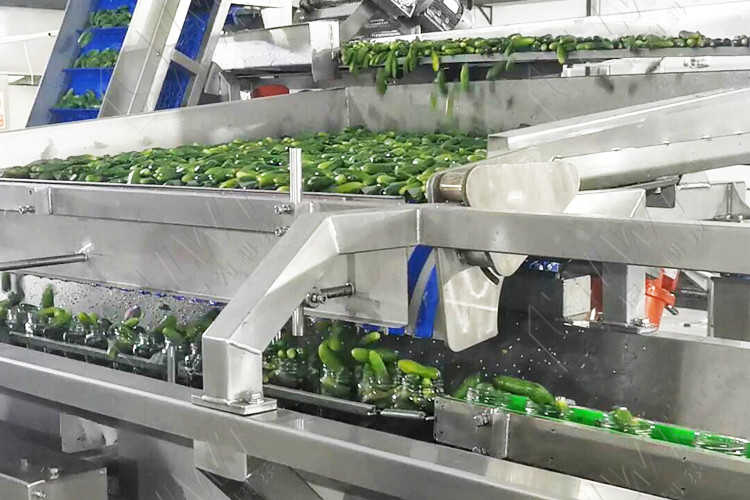 Canned Cucumber Production Line Custom For Canadian Customer