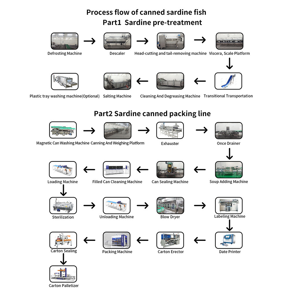 Process flow of canned sardine production line