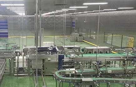Complete Canned Food Production Line Solutions | Turnkey Equipment ...