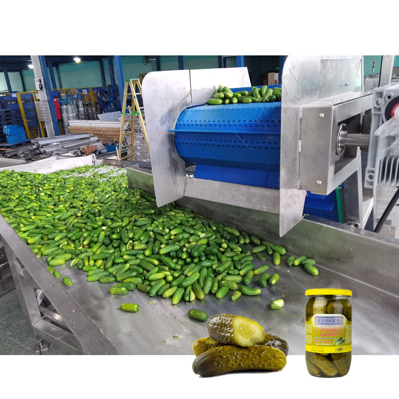 Full Set Canned Pickled Cucumber Production Line Canned Cucumber ...