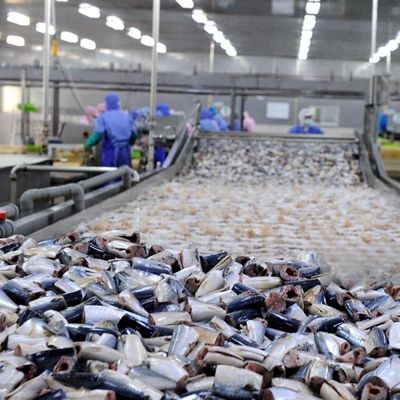 Canned Fish Production Line Custom Processing Filling Packaging Machines